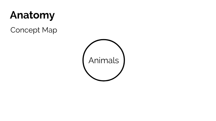 Anatomy Concept Map by on Prezi