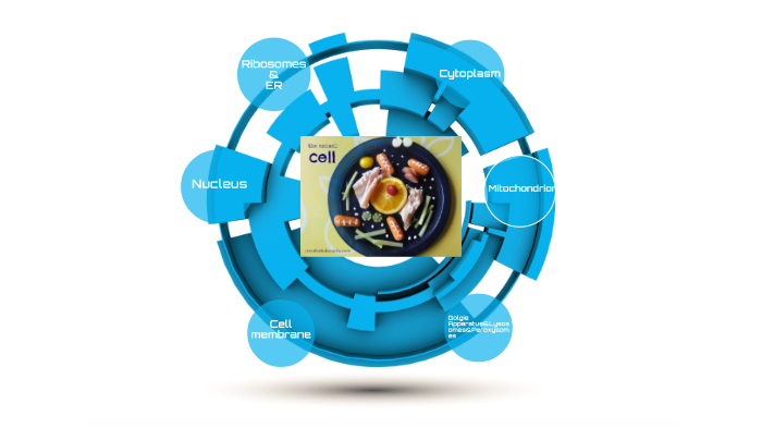 Animal cell by Robert Wenta on Prezi