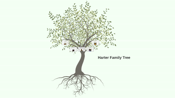 Harter Family Tree by gadget dragon00 on Prezi