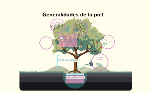 Generalidades de la piel by Casandra Gómez Sabino on Prezi
