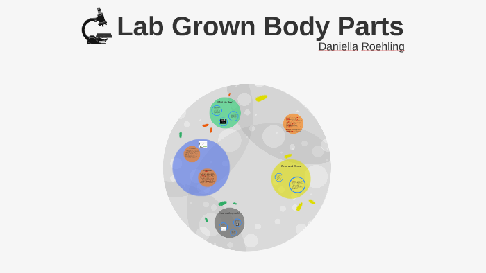 Lab Grown Body Parts by Dan R on Prezi