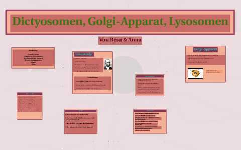 Dictyosomen, Golgi-Apparat, Lysosomen by Thomas Vetter on Prezi