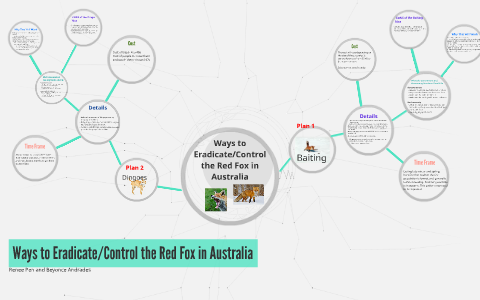 Ways to Eradicate/Control the Red Fox in Australia by Sarah Jay on Prezi