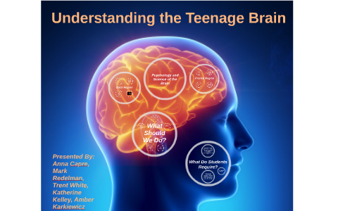 Understanding the Teenage Brain by anna c on Prezi