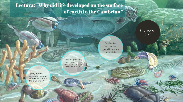 ¿why did life developed on the surface of earth in the Cambrian? by ...
