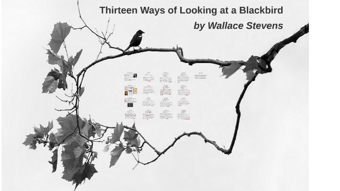 Thirteen Ways of Looking at a Blackbird by Josie Wilson on Prezi