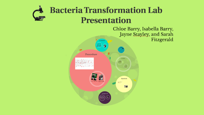 Bacteria Transformation Lab by Chloe Barry on Prezi