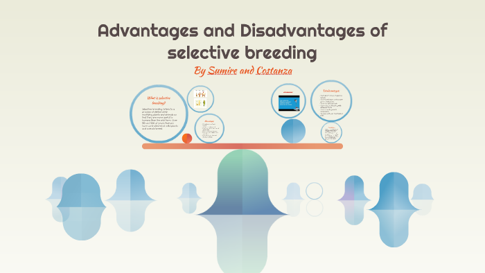 Advantages and Disadvantages of selective breeding by Costanza Proietti ...