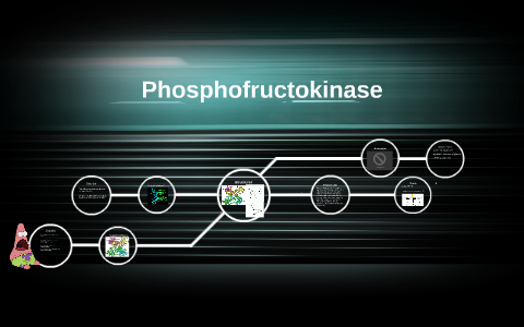 Phosphofructokinase by Sam Cutter on Prezi