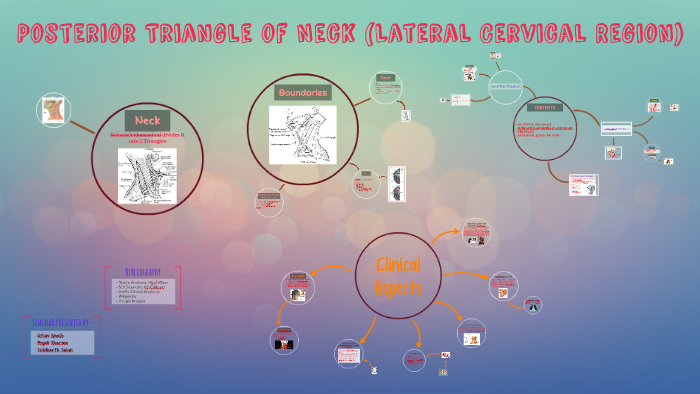 Posterior Triangle of Neck (Lateral Cervical Region) by siddharth sahai