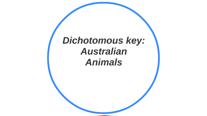 Dichotomous key: Australian Animals by Scott Marshall on Prezi