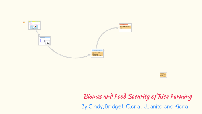 Biomes and Food Security of Rice Farming by Kiara M on Prezi