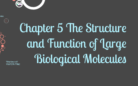 Chapter 5 The Structure and Function of Large Biological Mol by Madison ...