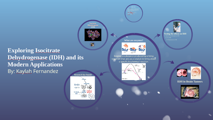 Exploring Isocitrate Dehydrogenase (IDH) and its Modern Appl by Kaylah ...