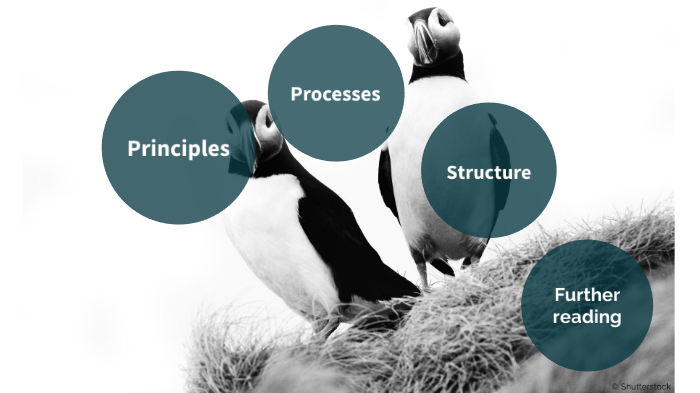 Culture and Process by simon beynon on Prezi