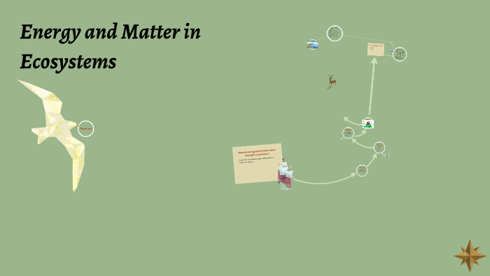 Energy and Matter in Ecosystems by donna schlake on Prezi