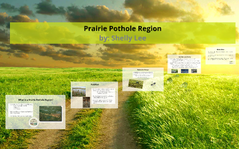 Prairie Pothole Region by Michelle Lee on Prezi