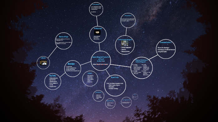 Japanese Management Practices Past and Present by Anthony Vilaysack on ...