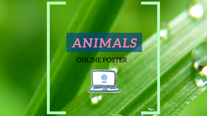 ONLINE POSTER by on Prezi