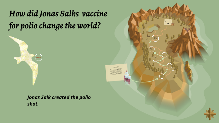 How did Jonas Salk's vaccine for poliochange the world? by hailey evans ...