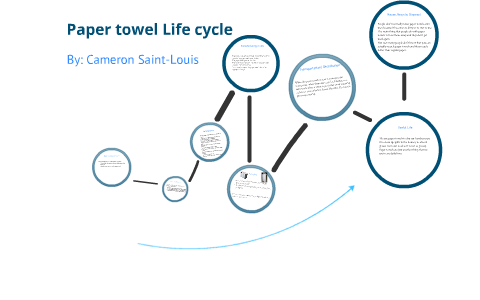 Paper Towel life cycle by Cameron Saint-Louis on Prezi