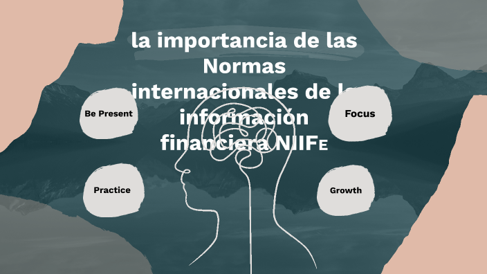La importancia de las normas internacionales de la información ...