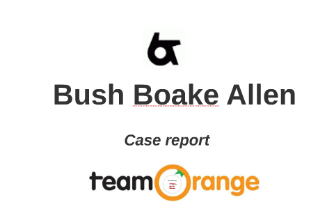 Bush Boake Allen by Olga Ro on Prezi