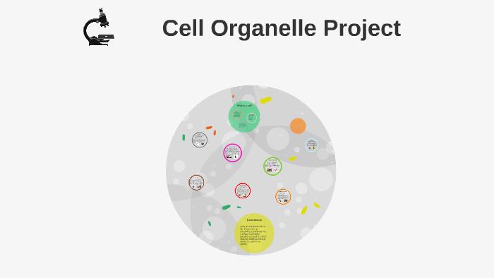 Cell Organelle Project by uyench Ganga