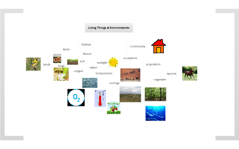 Living Things & Environments by Rebecca Franzen on Prezi