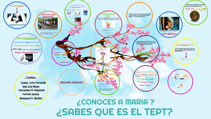 ¿SABIAS QUE ES EL TEPT? by Maribel Mosquera on Prezi