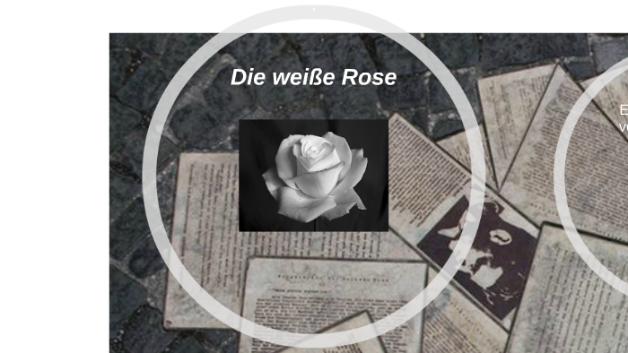 Die weiße Rose by Michael Poller on Prezi