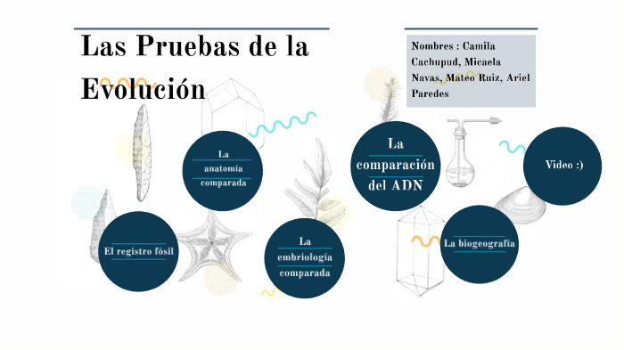 Las pruebas de la evolución by Lis :v on Prezi