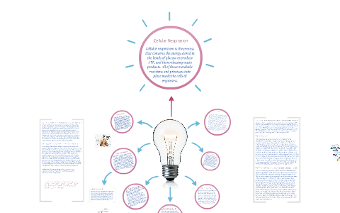 Cellular Respiration by Cody Millian on Prezi