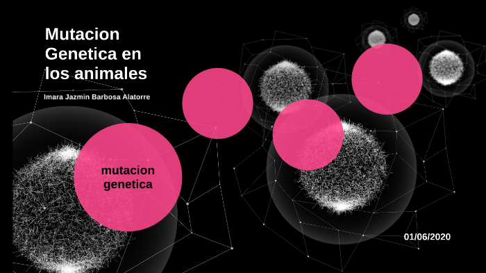 Mutacion genetica en los animales by Imara jazmín Barbosa Alatorre on Prezi