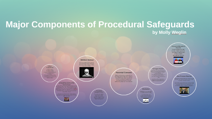 Major Components of Procedural Safeguards by Molly Weglin on Prezi