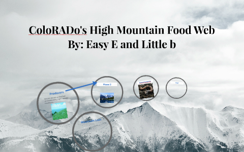 Colorado's High Mountain Food Web by Dillon Bohlender on Prezi