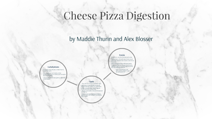 Cheese Pizza Digestion by Maddie Thurin on Prezi