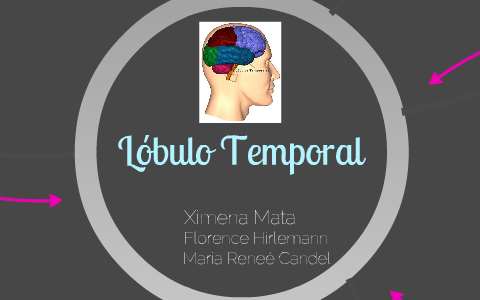 Lobulo by Chiqui Candel on Prezi