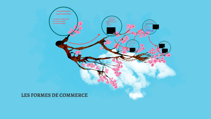 LES FORMES DE COMMERCE by Christine Perron on Prezi