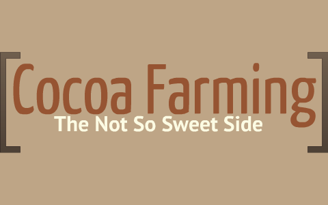 Cocoa Farming by Josh Roltsch on Prezi