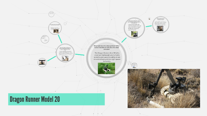 The Dragon Runner by Nick Panda