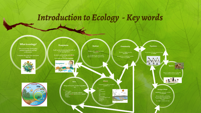 Ecosystems - Key words by Elle Mallett on Prezi