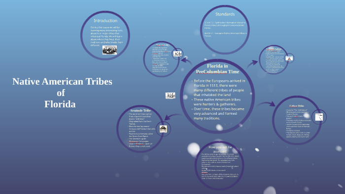Native American Tribes of Florida by Rebecca Chew