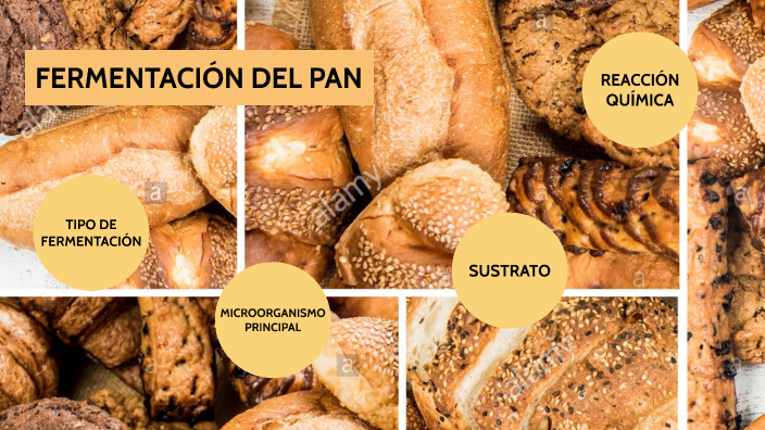 Fermentación del pan by Mireia Aguilar Romero on Prezi