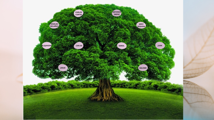 FAMILY TREE by Carlos Cortes on Prezi