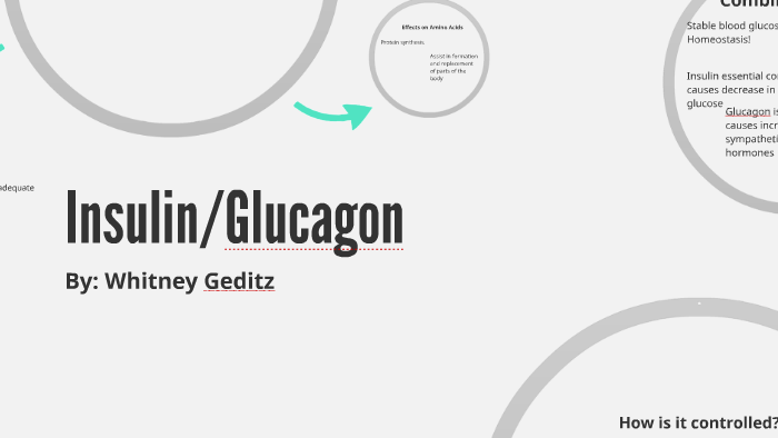 Insulin/Glucagon by Whitney Geditz on Prezi