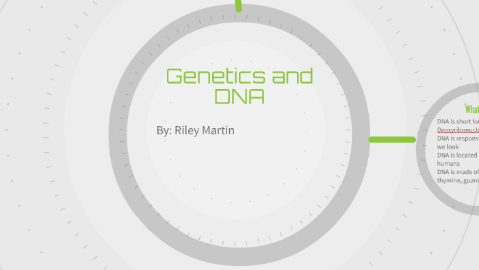 Genetics and DNA by Riley Martin on Prezi