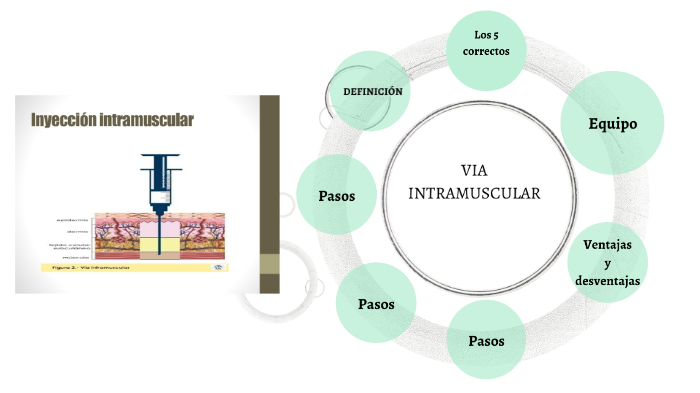 Vía intramuscular by Kenia Vasquez on Prezi