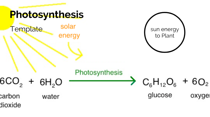 Photosynthesis template by Jacki Simms on Prezi
