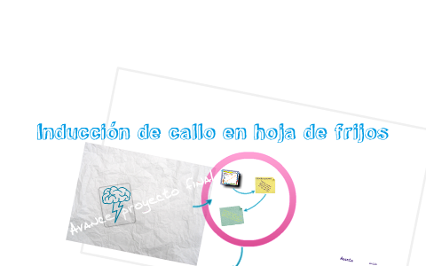 Lab cultivo by aida salinas on Prezi